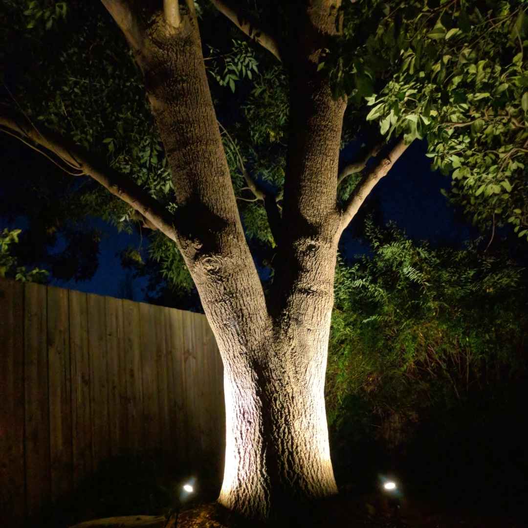 Landscape Garden Lighting | Kenner Electrics