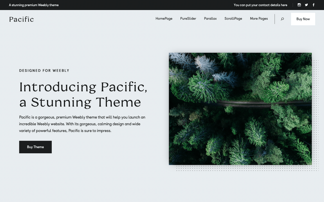 Premium Weebly Themes and Templates for Your Weebly Site