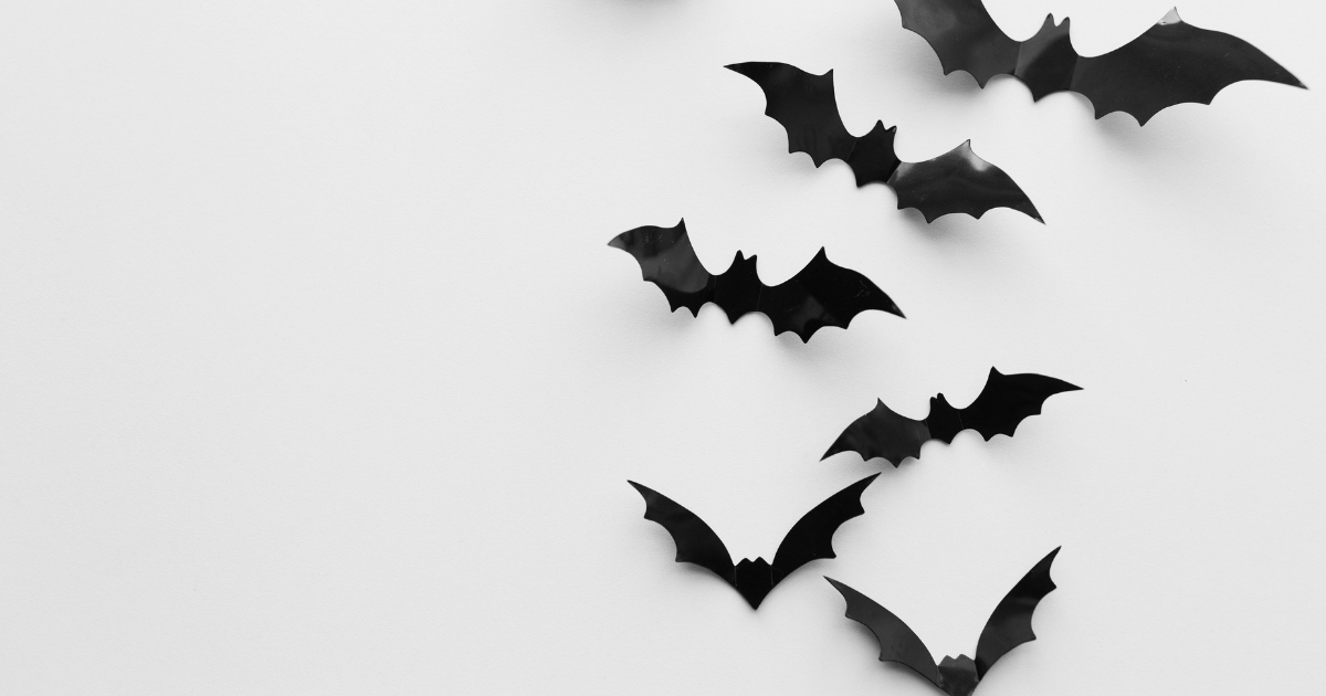 10 Senior Community Activity Ideas: Fall Edition — Welbi