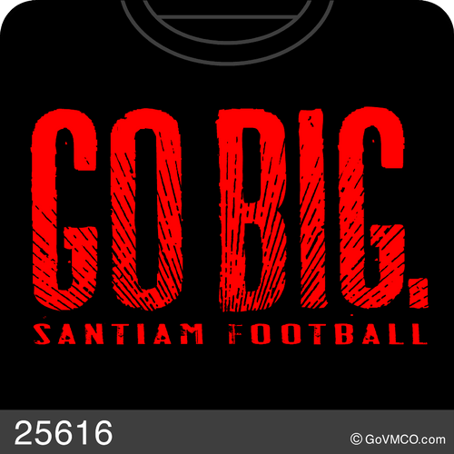 Team Slogans - Varsity Mascot Co. - Custom School and Sport Apparel