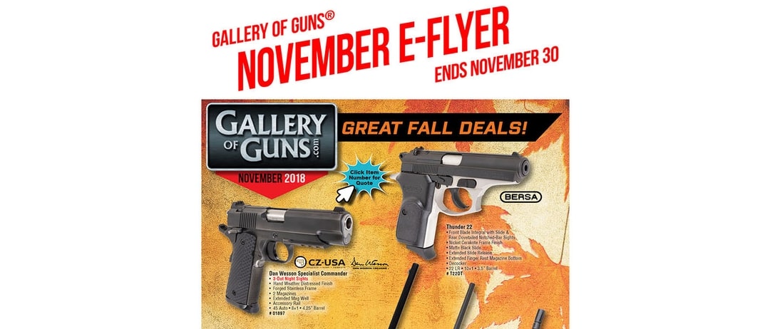 November Gallery of Guns E-Flyer