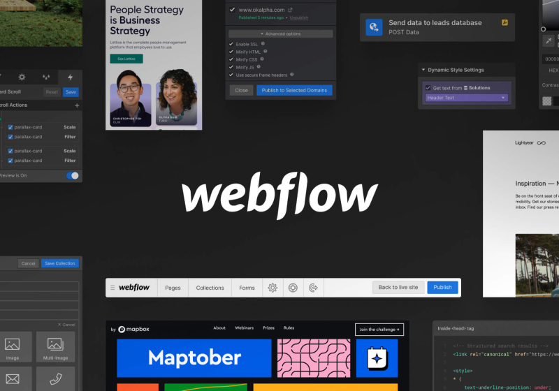 Organization & Creativity | The Design Guy