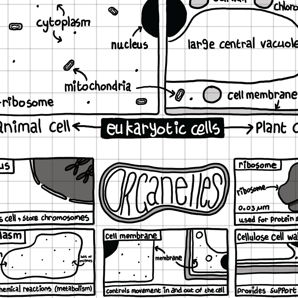 GCSE Science resources