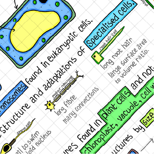 GCSE Science resources