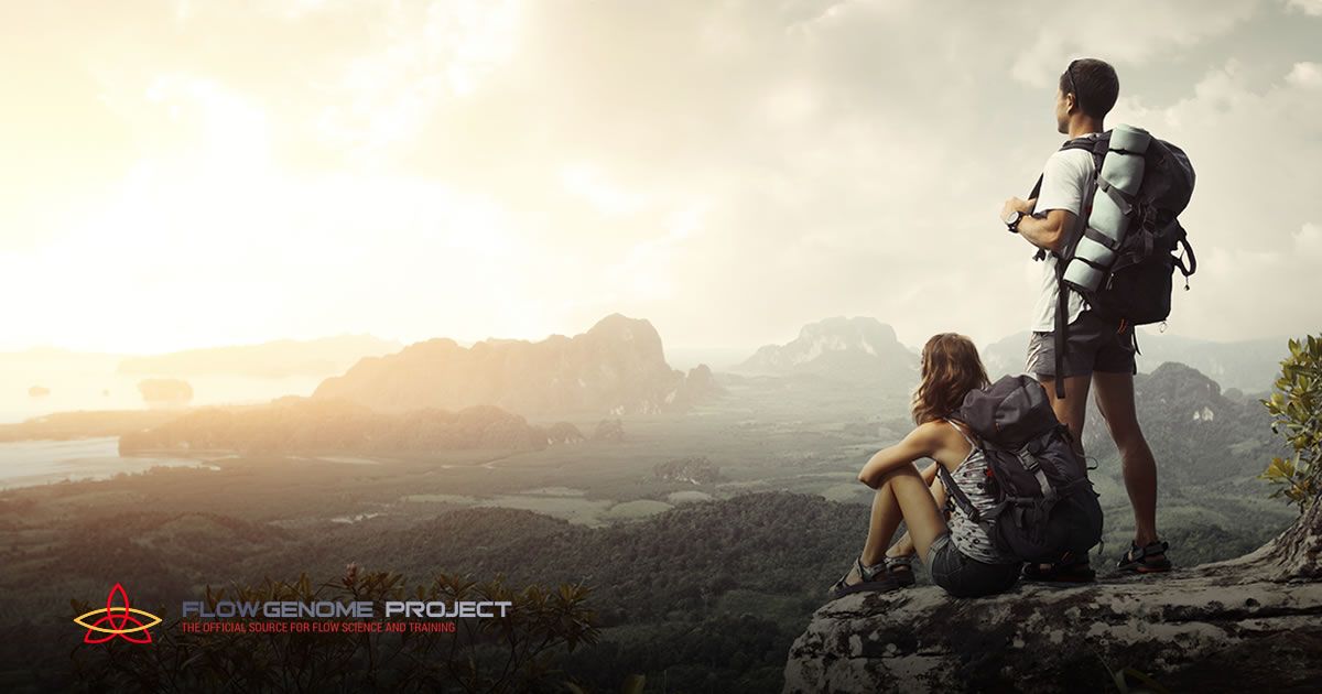 Flow Profile - Flow Goer