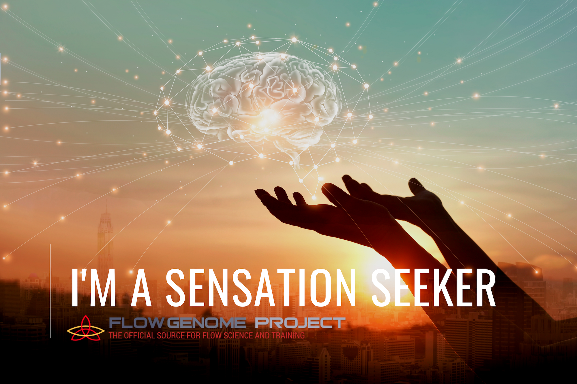 Dopamine Score - Sensation Seeker