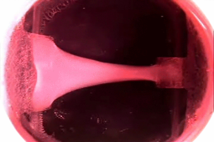 Cell Stretching Bioreactors | Flexcell International