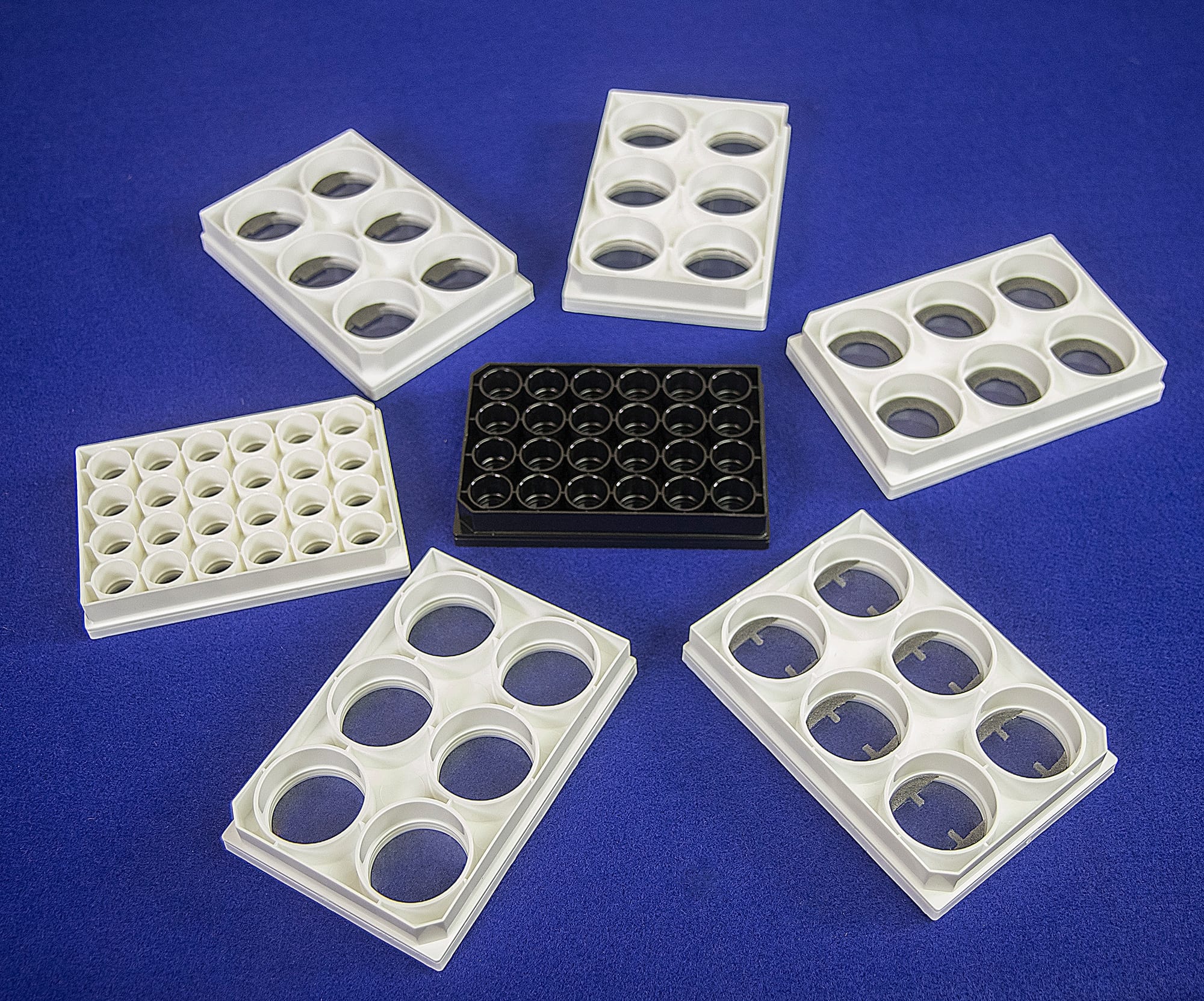 Cell Stretching Bioreactors | Flexcell International