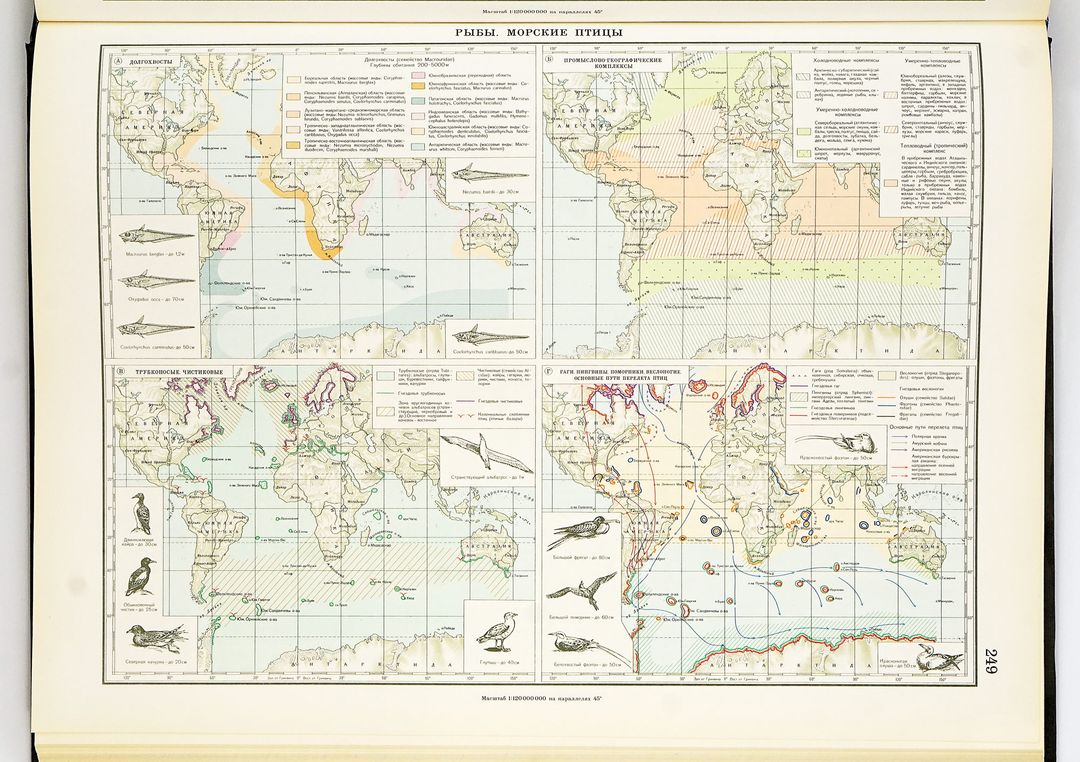 Atlas Okeanov - Atlantic and Indian Ocean, 1977