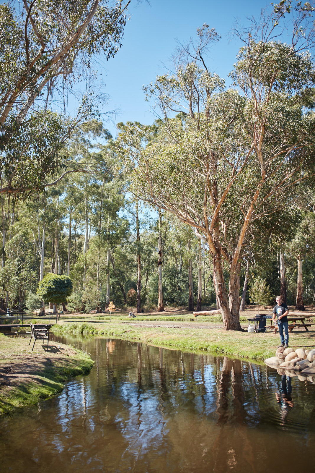 Sustainable Freshwater Trout and Salmon Farm | Buxton Trout and Salmon Farm