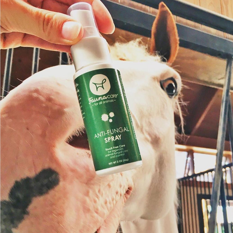 What to do if Your Dog Has Hives - Fauna Care