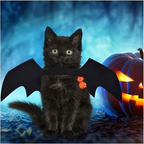 A Guide to Pet-Safe Halloween Costumes for Cats - Fauna Care