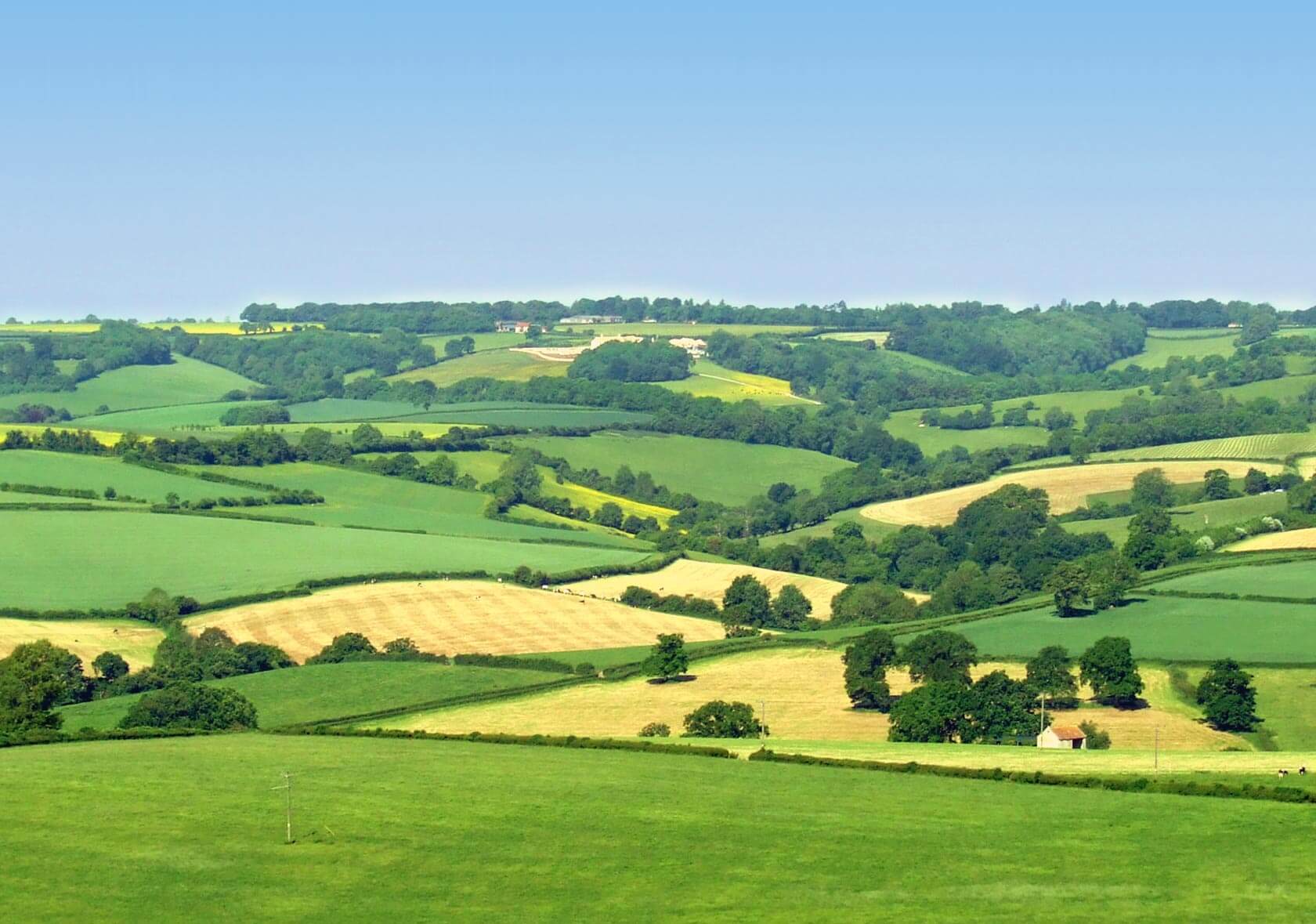 Things to Do in Cornwall – Pennywell Farm