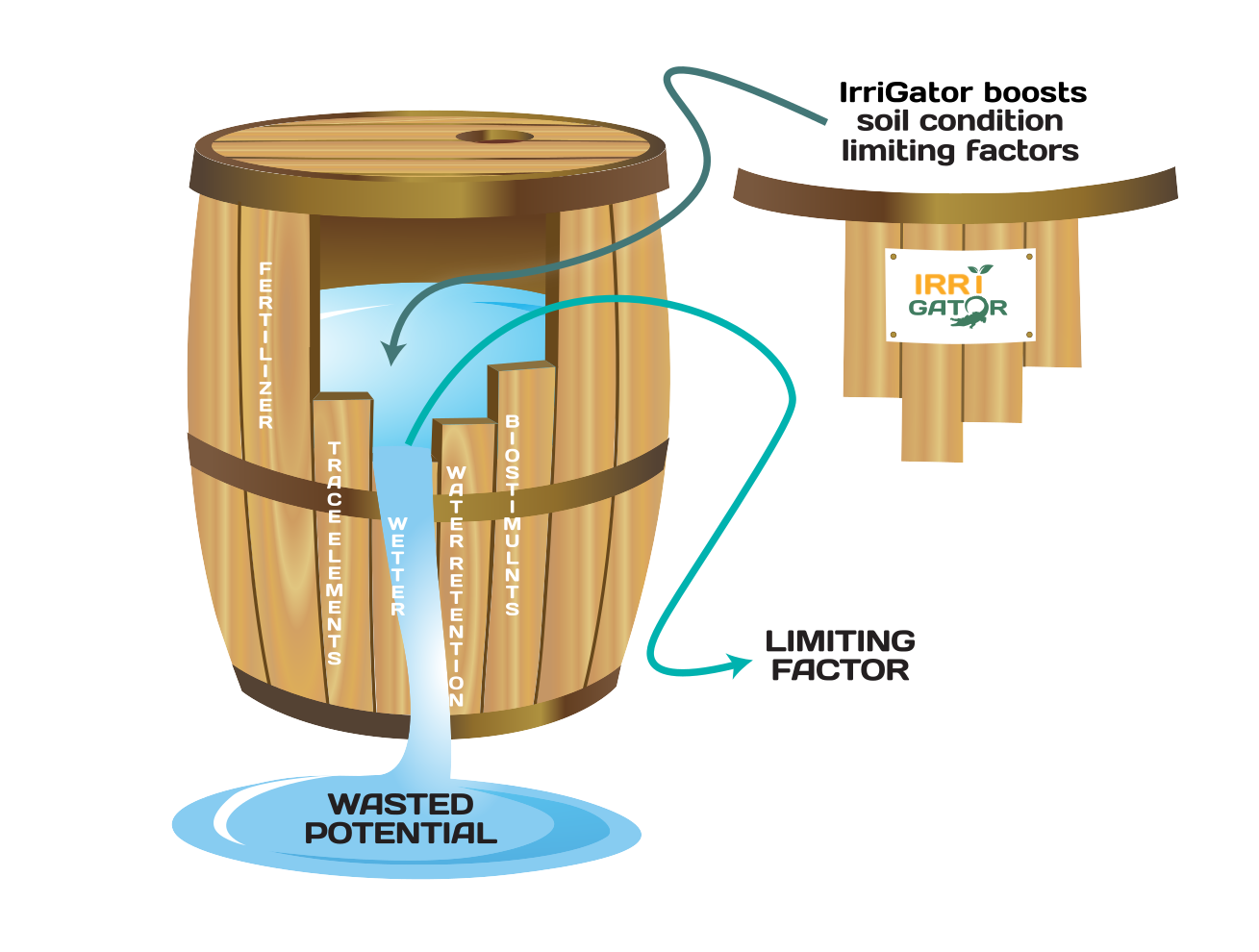 Understanding the Nutrient Barrel