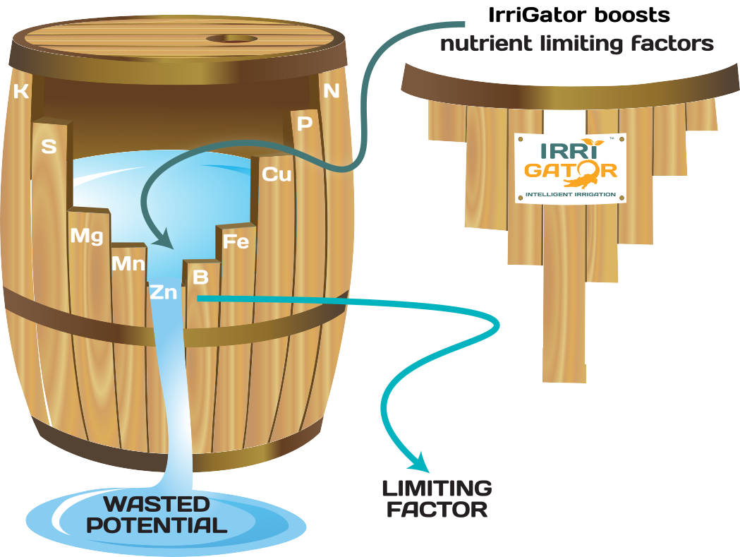 Understanding the Nutrient Barrel