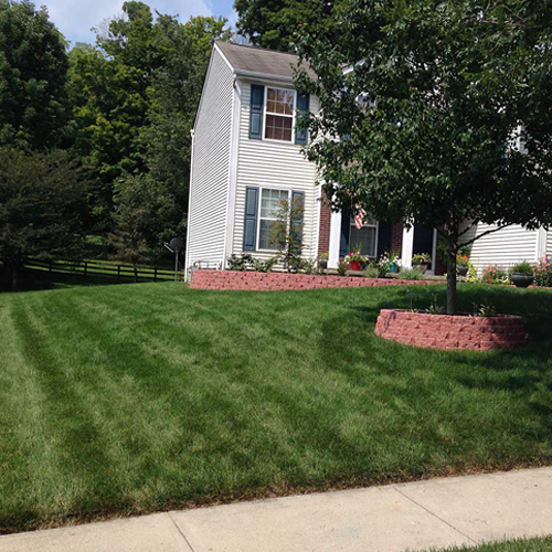 Northern VA Lawn Care