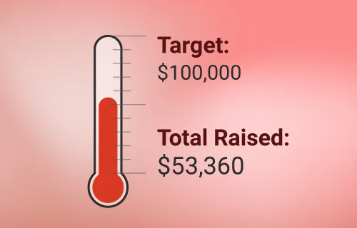 Fundraising Platform | Powerful Features to Boost Gains