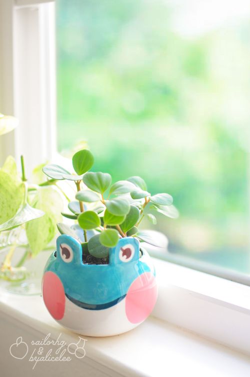 Ceramics | by Alice Lee