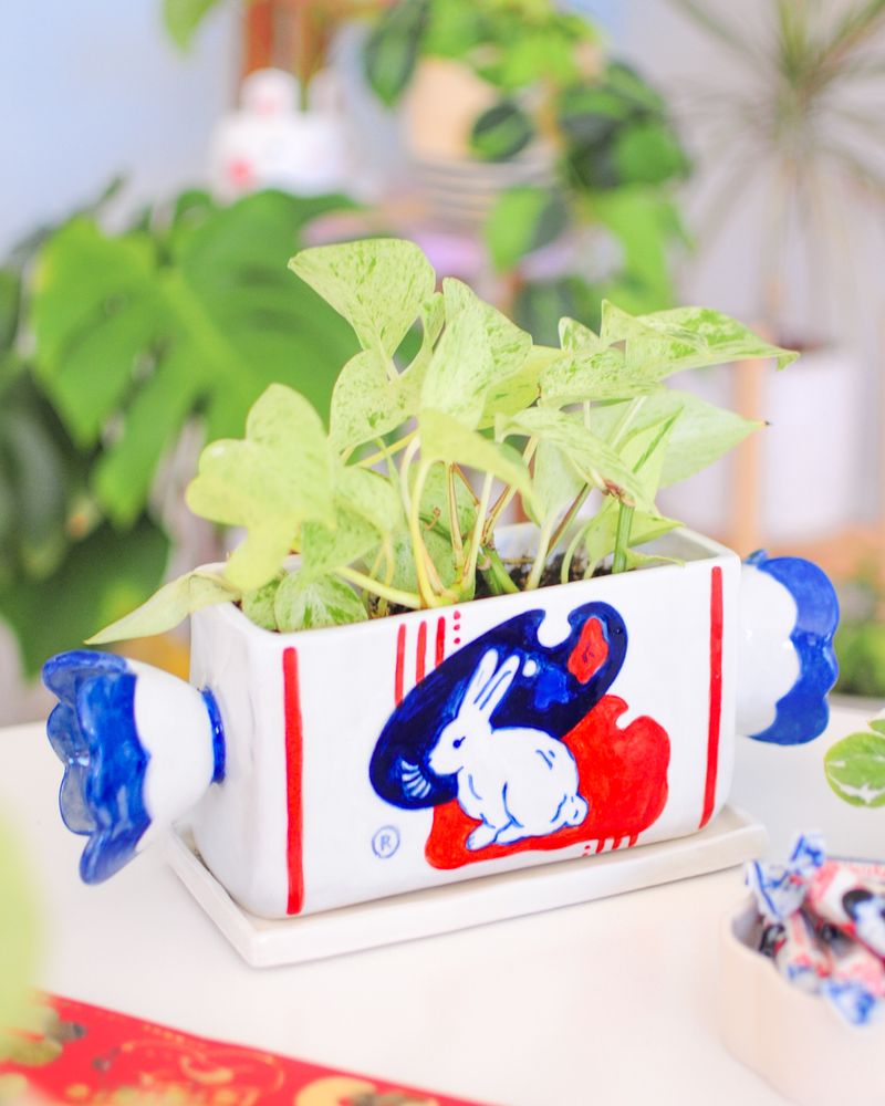 Ceramics | by Alice Lee