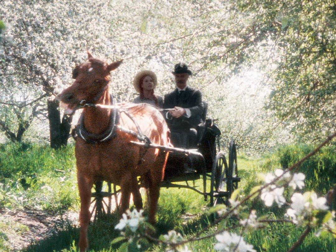 Anne of Green Gables