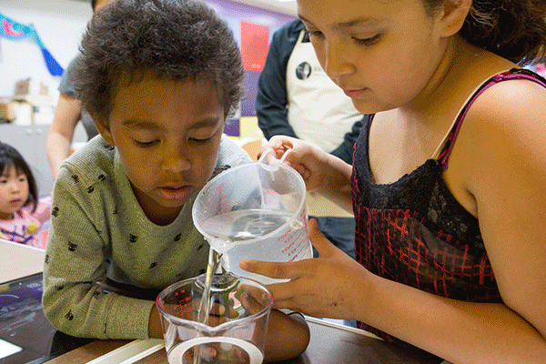 Celery + Charlie Cart Project
