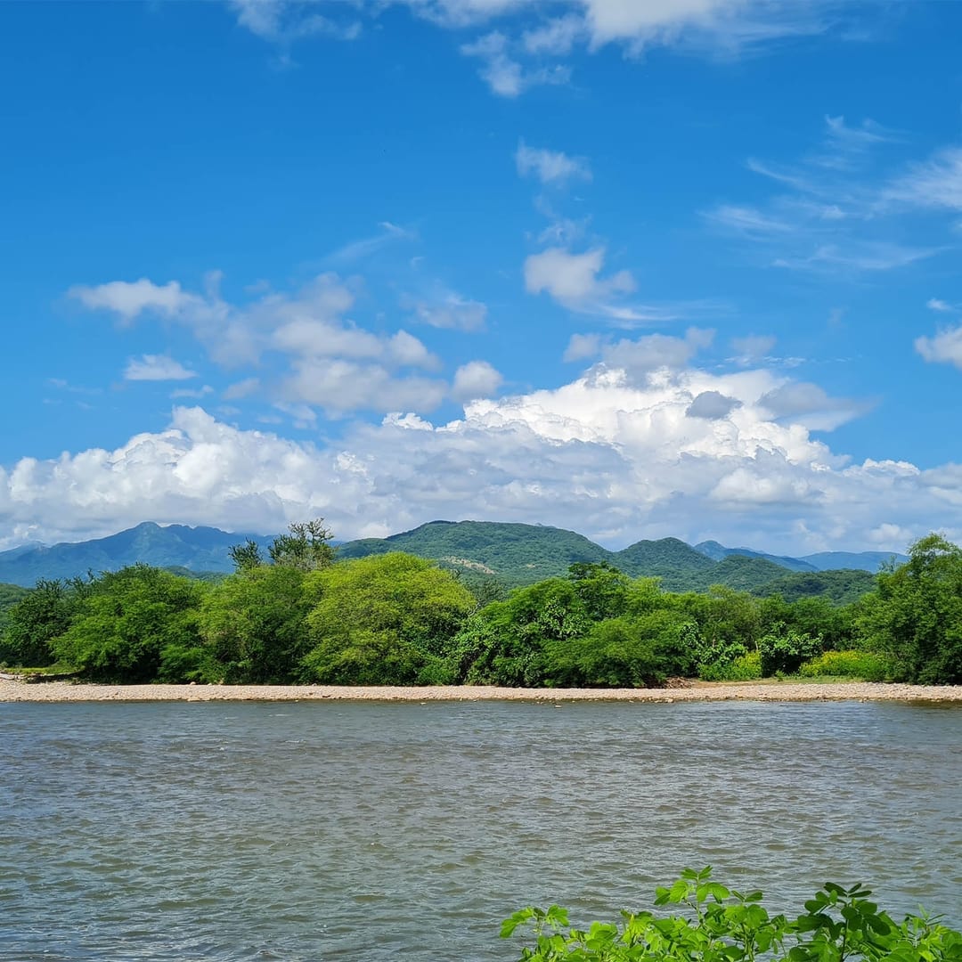 Conselva | Panorama Hídrico de Sinaloa