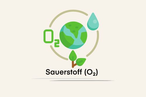 Sauerstoff: Definition, Entstehung, Folgen | air-Q Blog