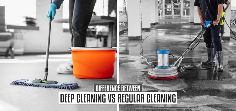 Deep Cleaning vs. Regular Cleaning: Exploring The Differences