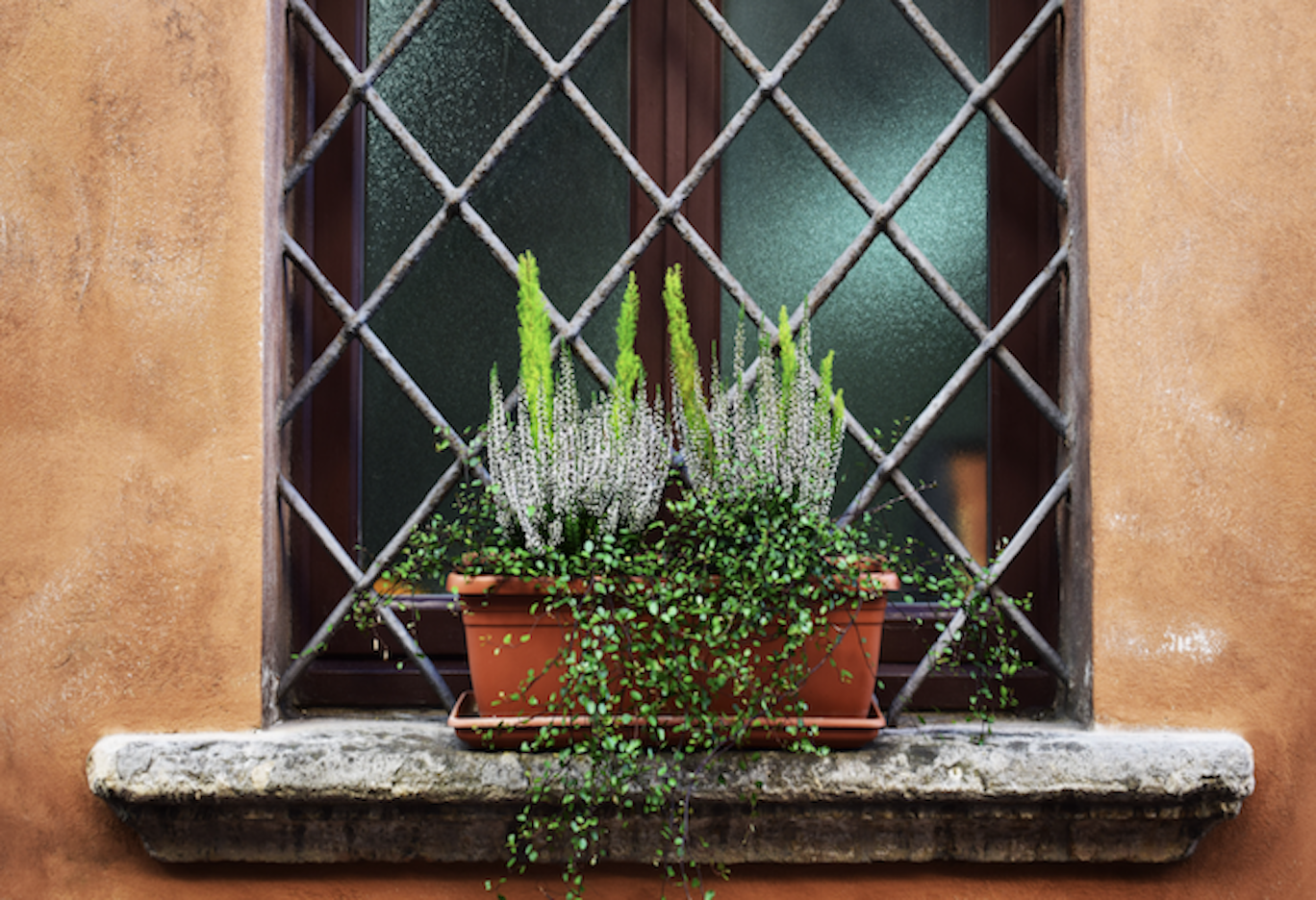 Foolproof Designs for Summer Window Boxes