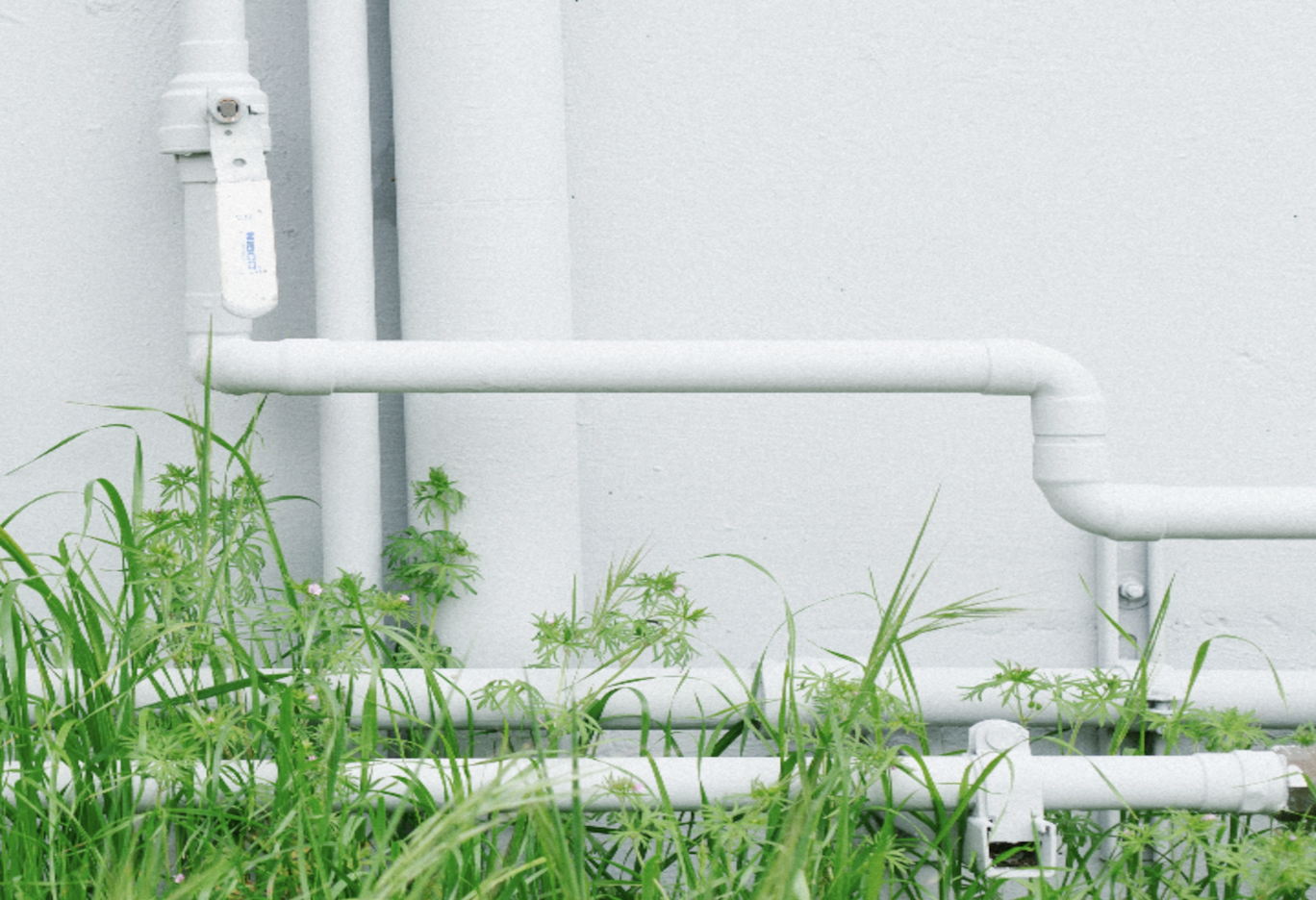 Tips and Tricks for Weed Control