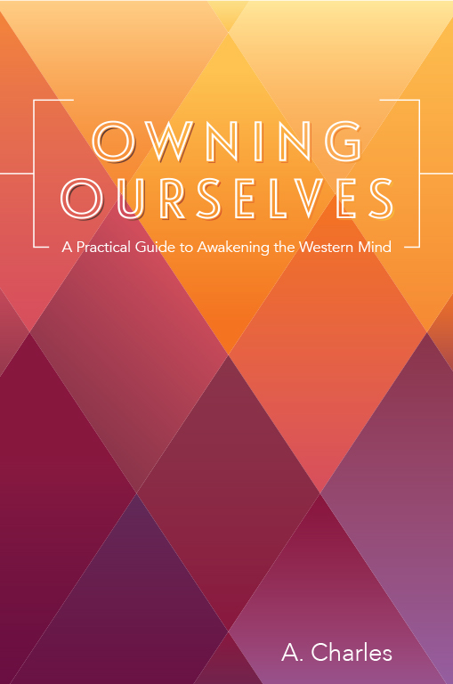 Dandylyon Designs | Case Study: Owning Ourselves Book Cover