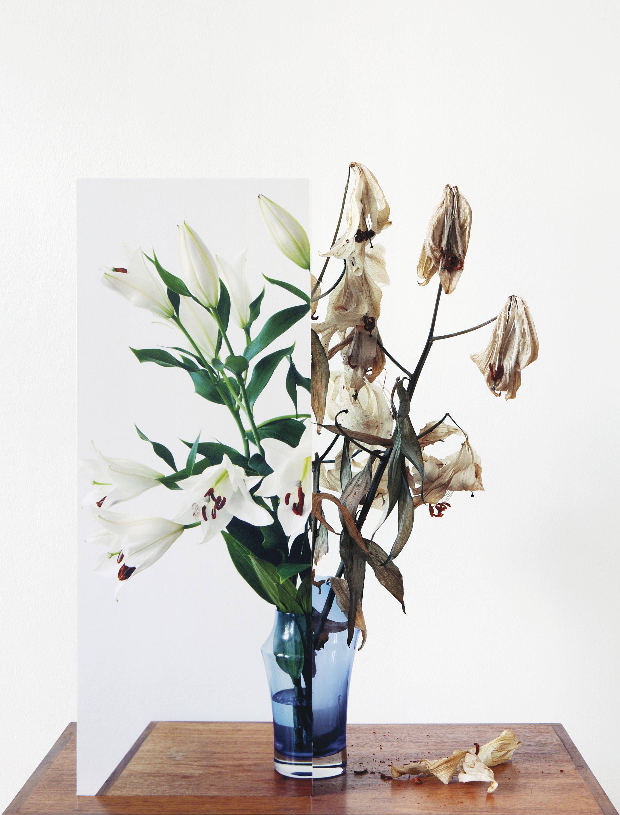 Mikko Rikala: Towards Nothing | Mai Manó Ház