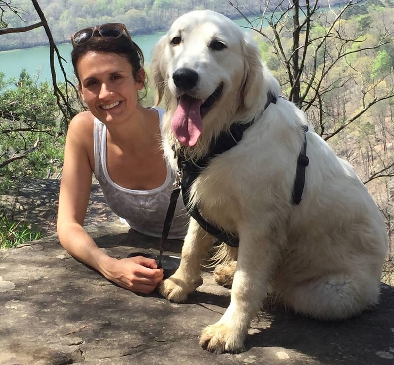 Fancy Rhino: Good* Branded Content