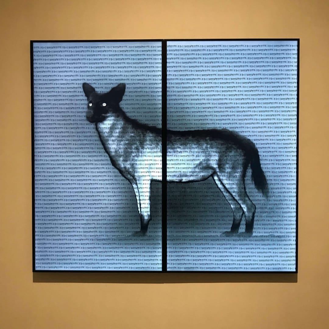 Michal Rovner at Pace Gallery