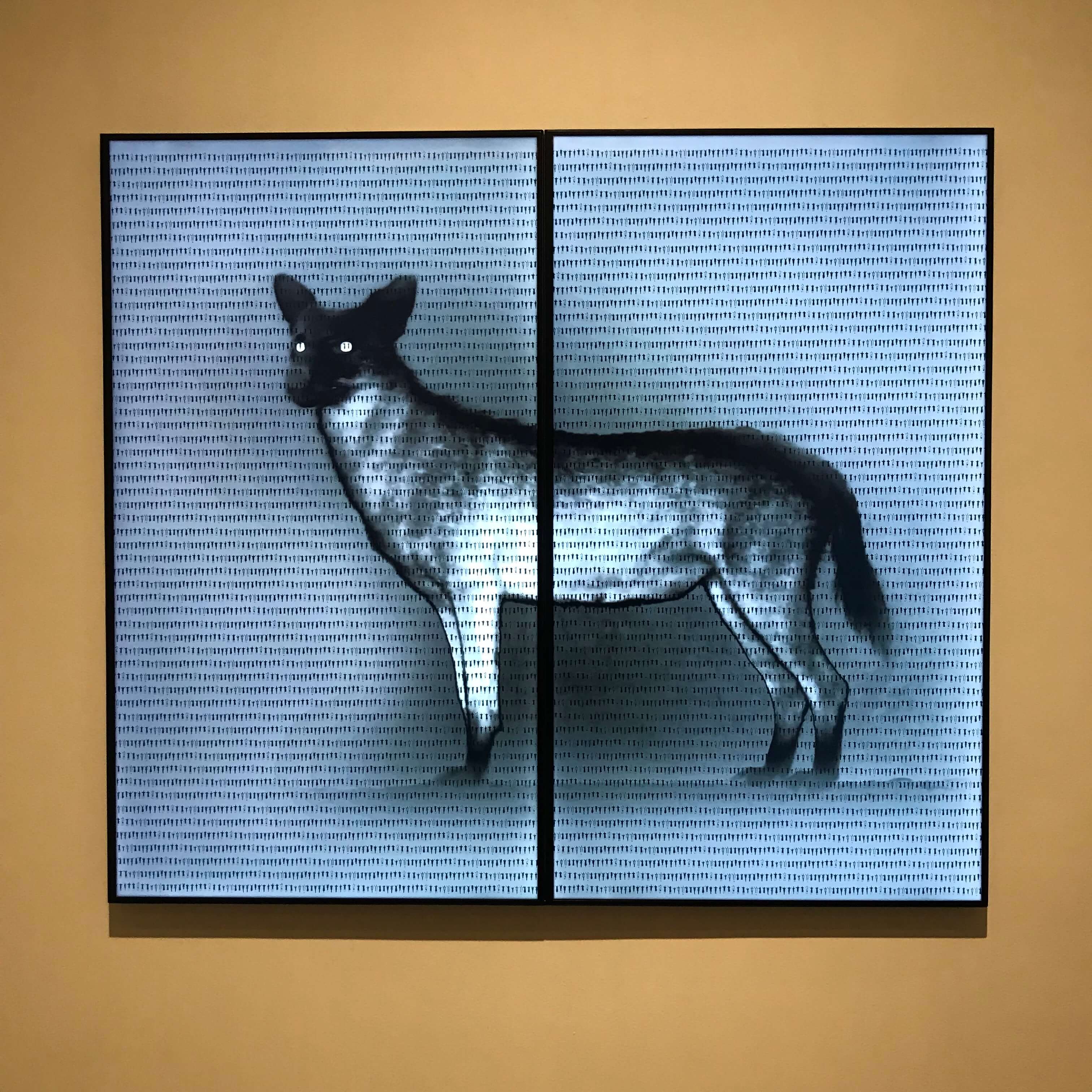 Michal Rovner at Pace Gallery