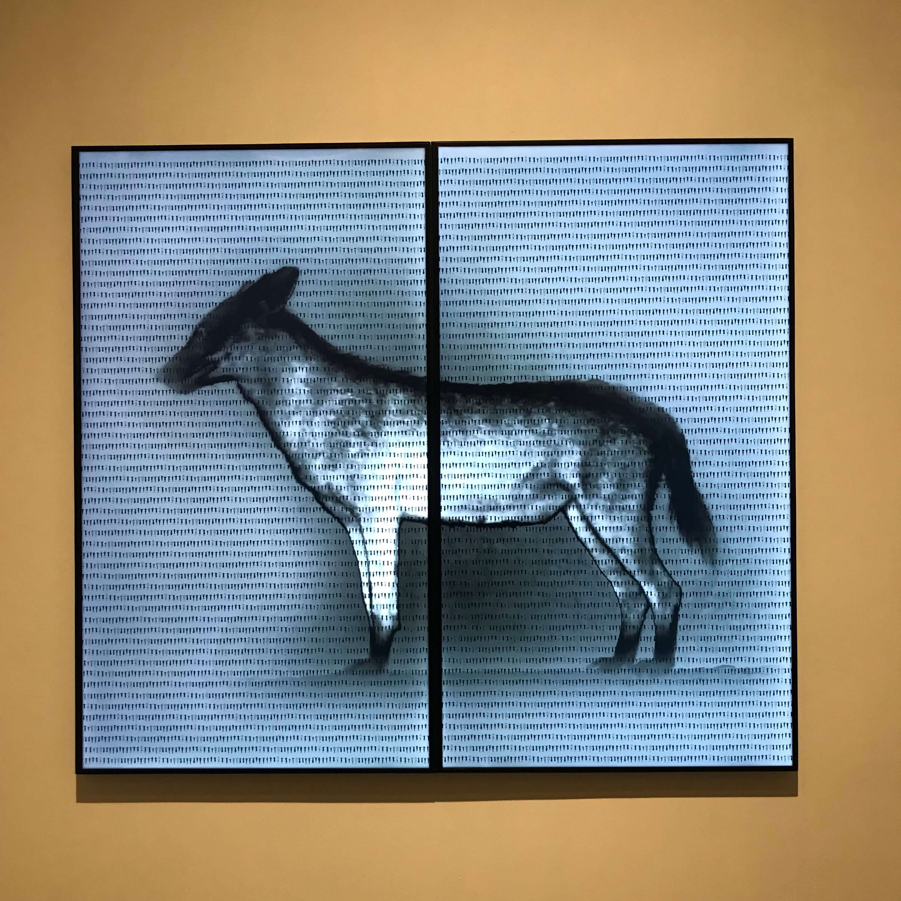 Michal Rovner at Pace Gallery