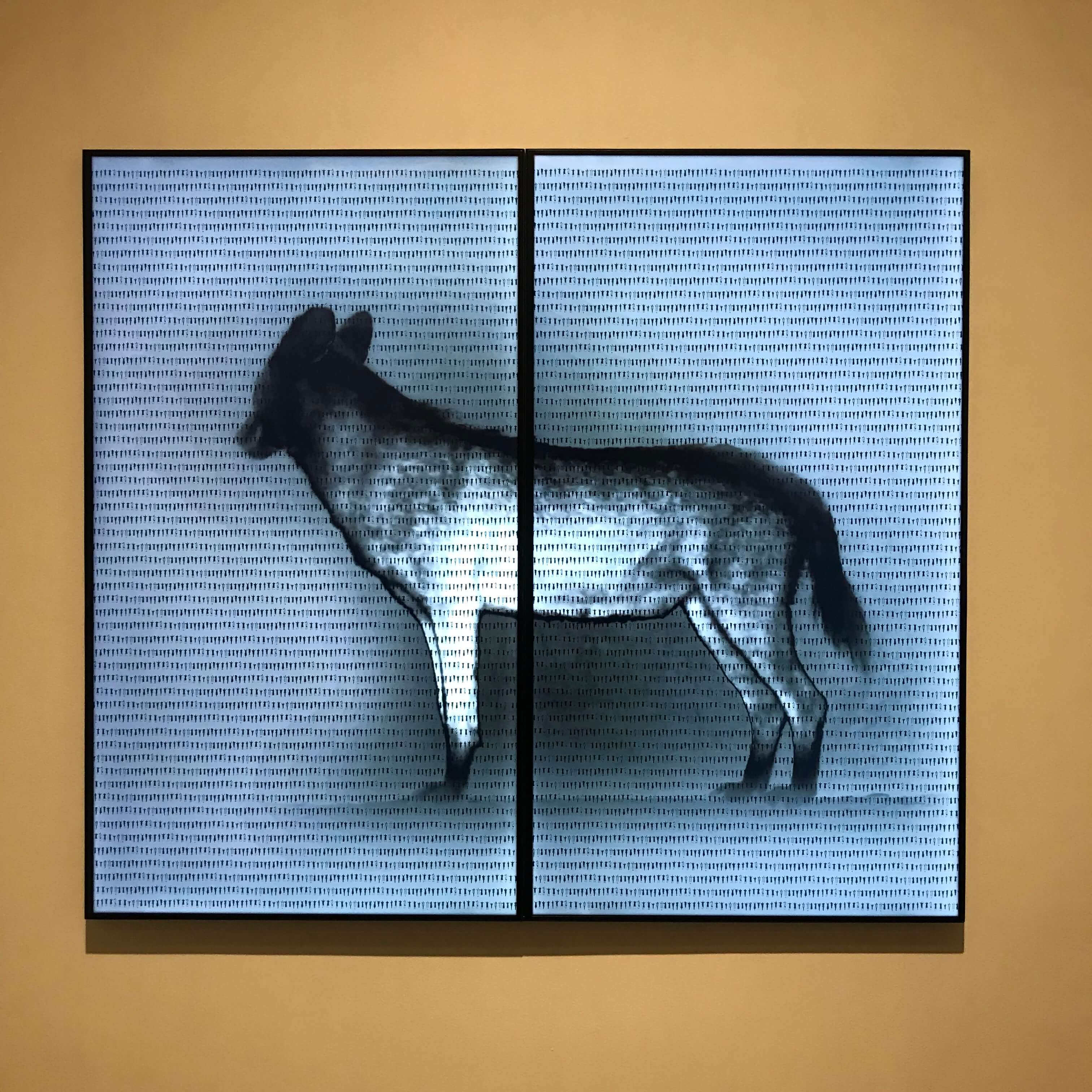 Michal Rovner at Pace Gallery