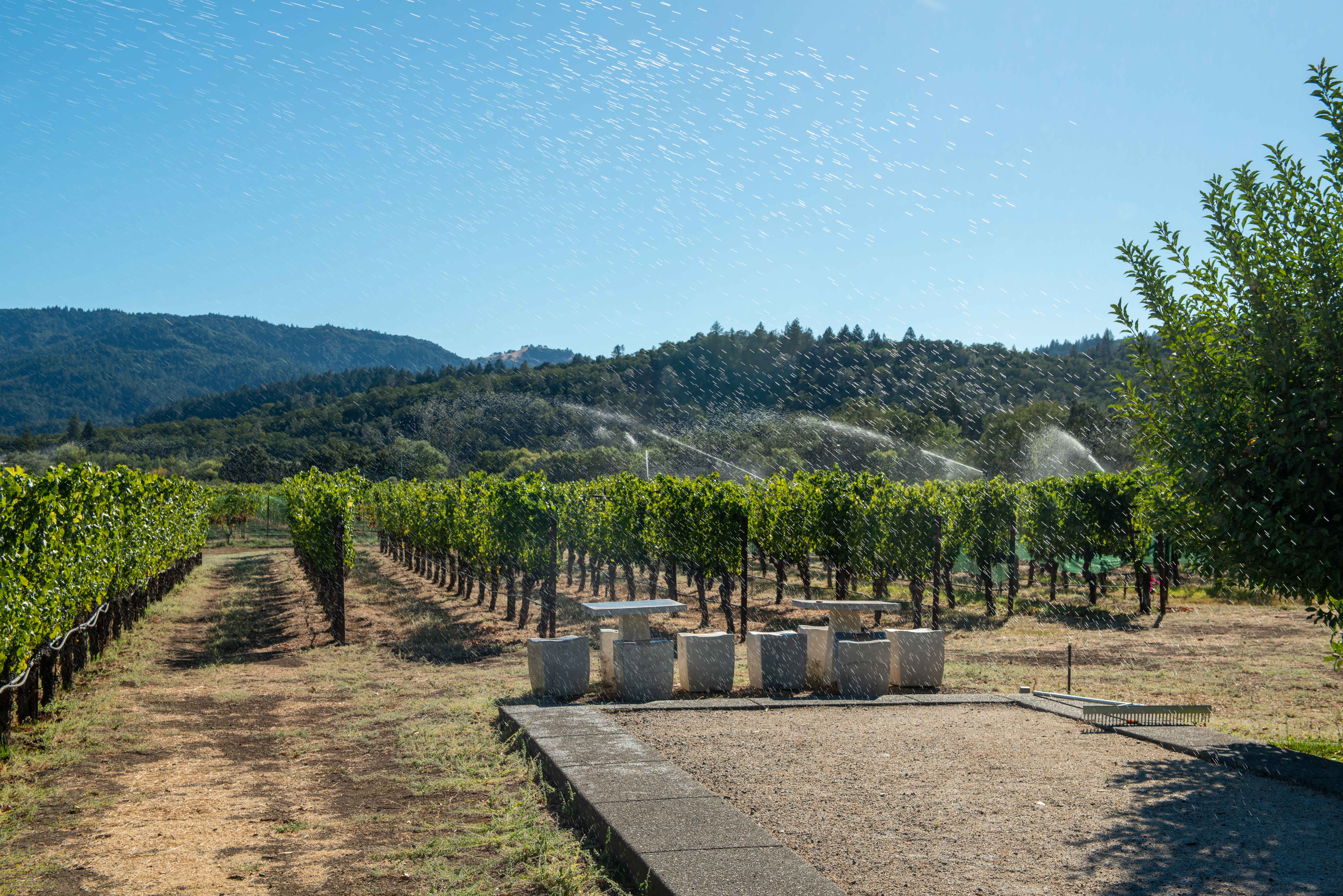 Napa Valley Day 5: Porter Family Vineyards and Saint Helena Winery