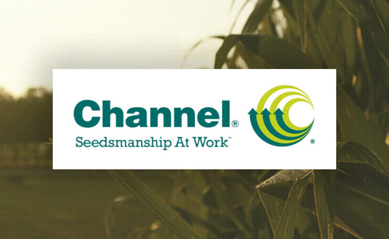 Channel Seed Products | Pro Ag Supply