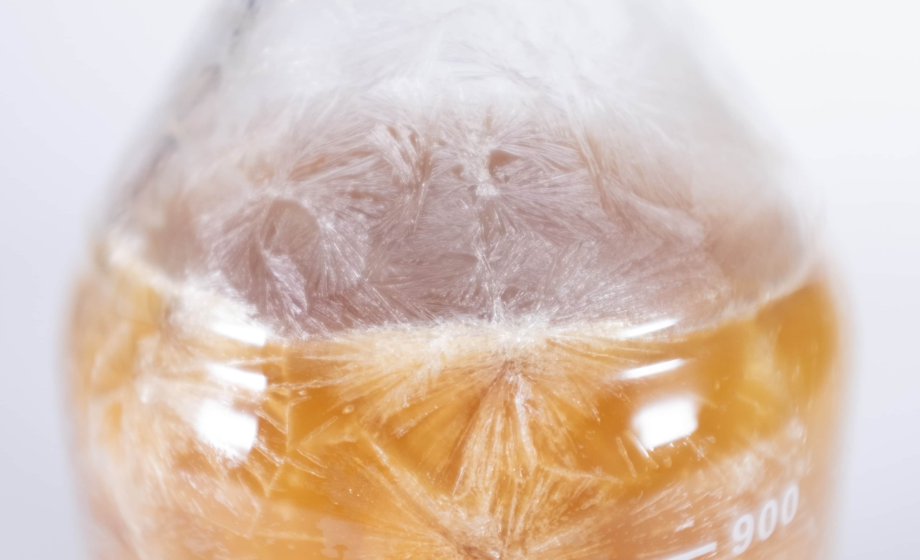 Sterling Hemp Labs: New England Hemp Extraction Organic Certified Hemp ...