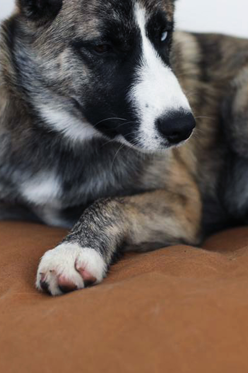 Rikit Hair - IJburg Amsterdam