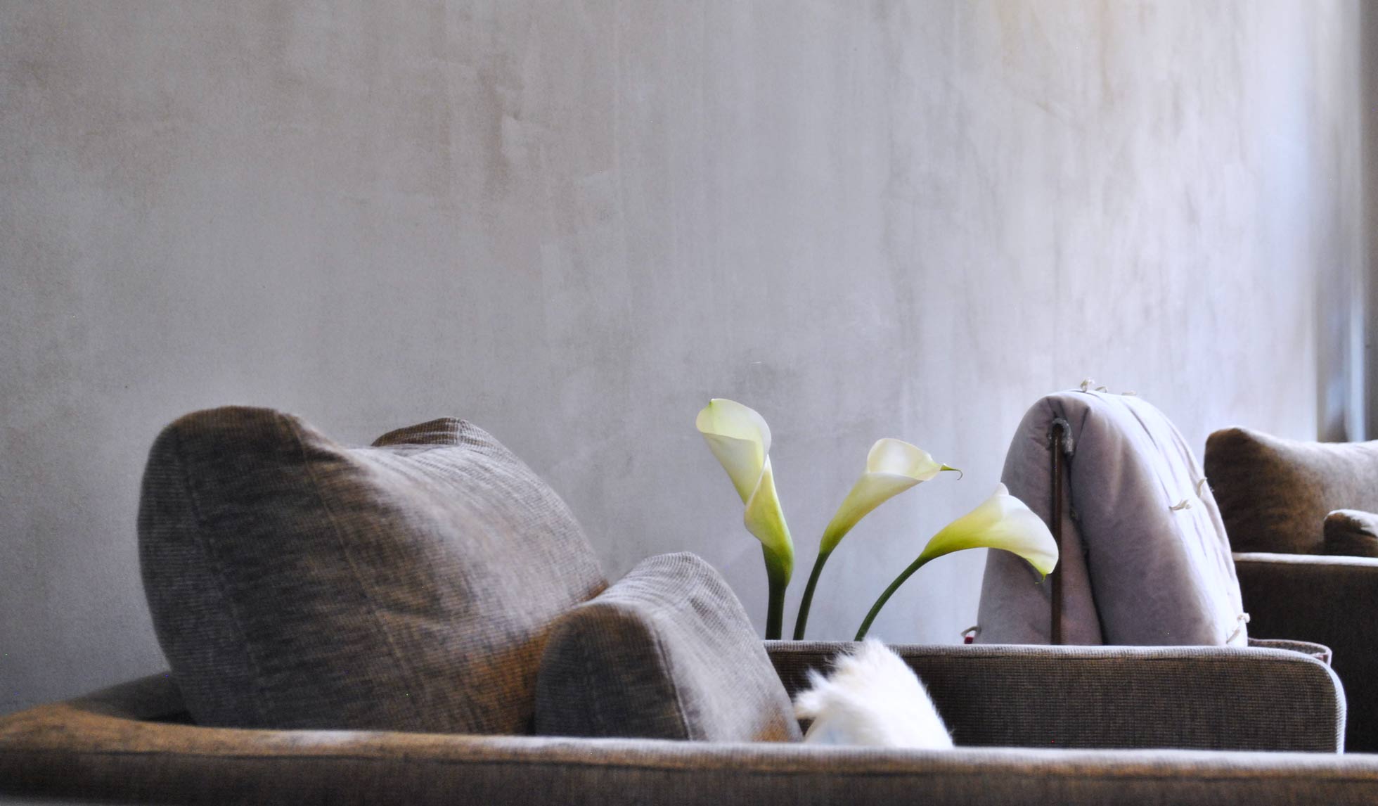 New Locasun | Beauté & Bien-être à Genève