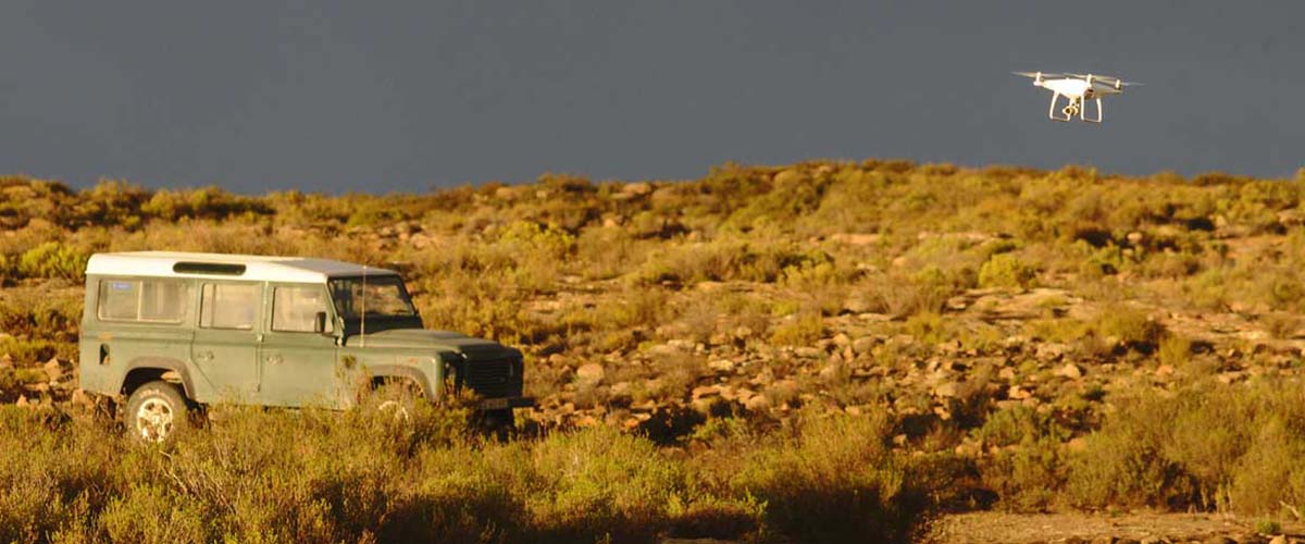 Films | Wildlife For All