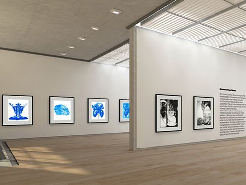 Virtual Art Gallery Templates