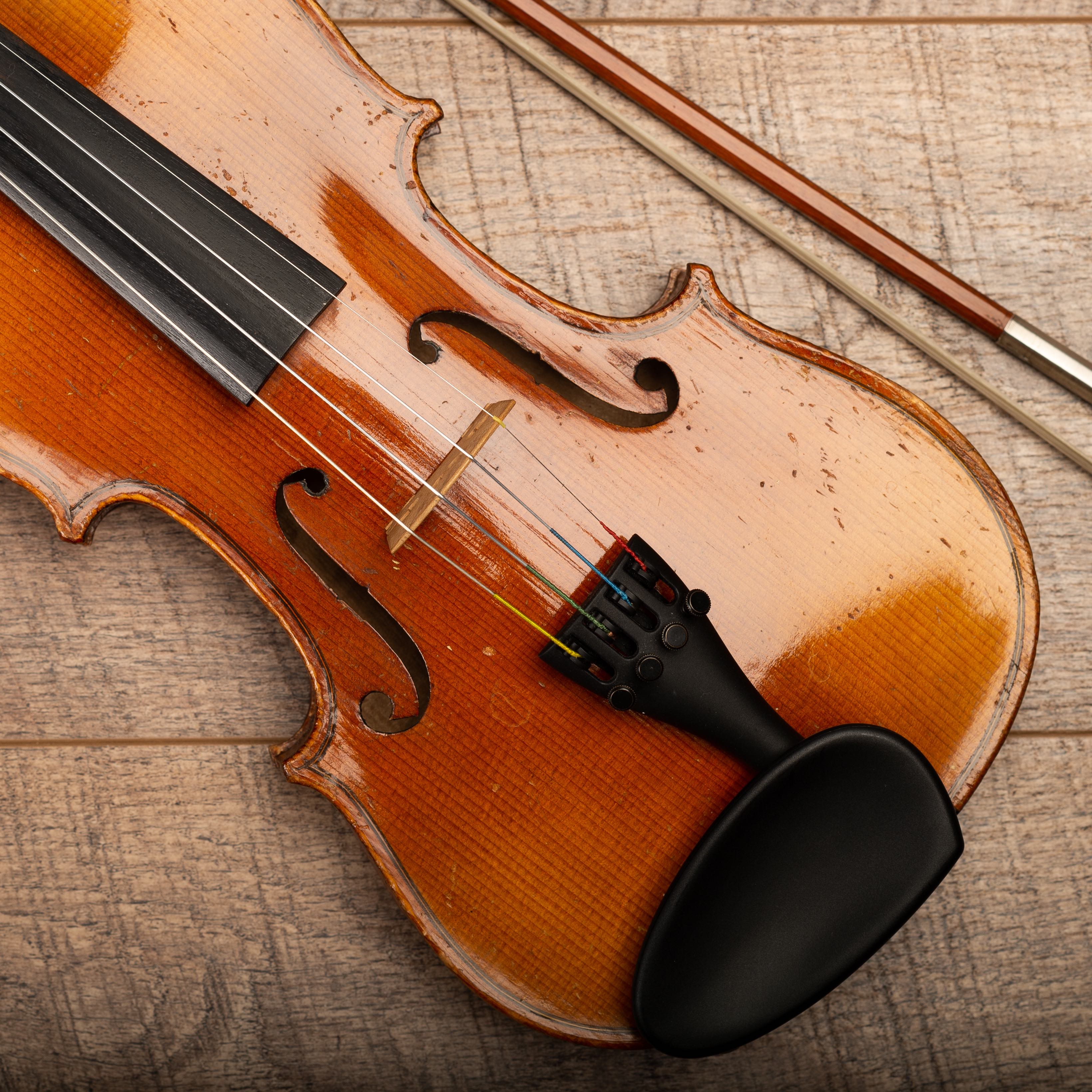 Streichinstrumente / String Instruments | Yamaha Music School Zürich