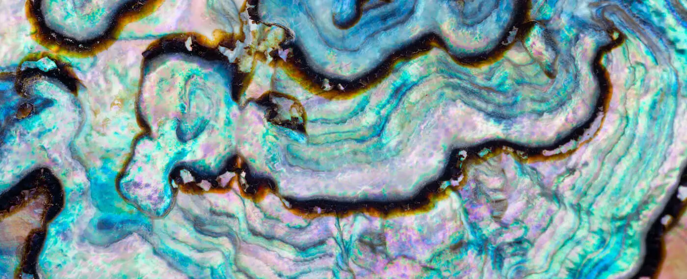 Hyperphantasia: The Truth About Photorealistic Imagination