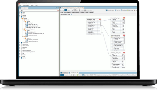 Denodo Partner Data Virtualization Onebridge