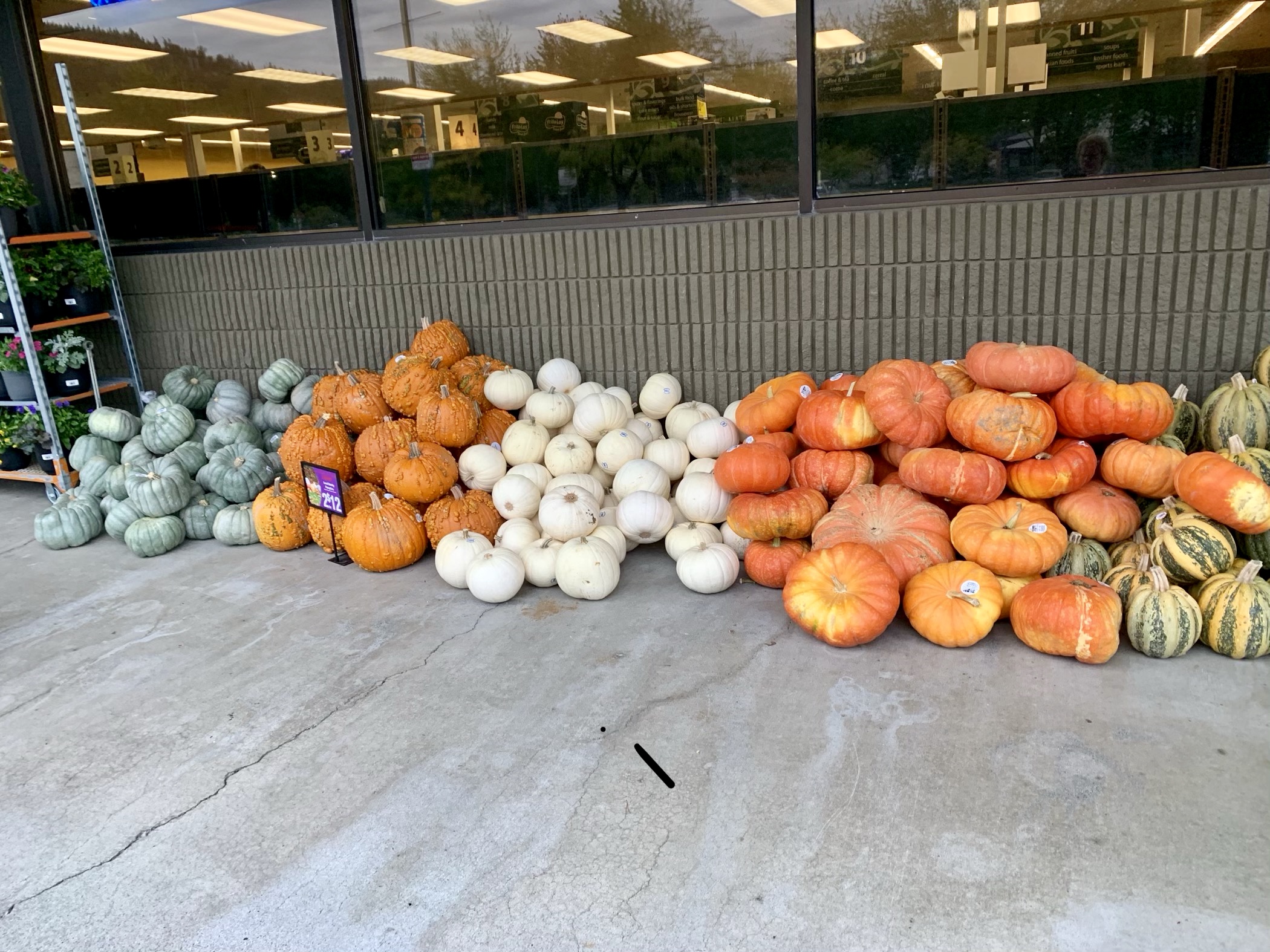 Get Your Pumpkin Stacking On!