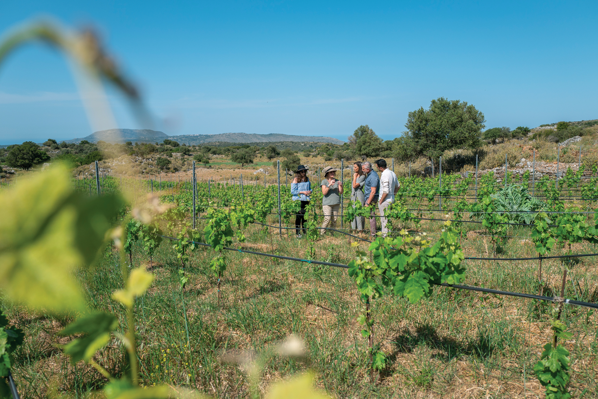 Crete Wine Escapes | Regions