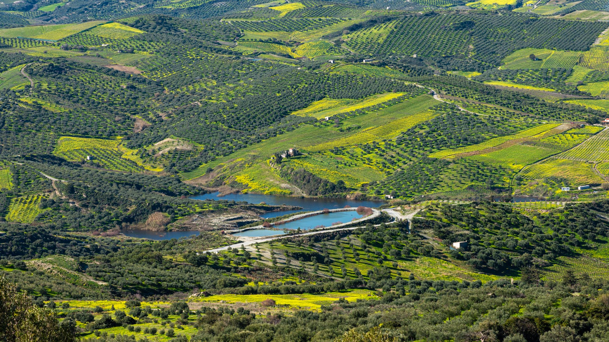 Crete Wine Escapes | Book your wine tour